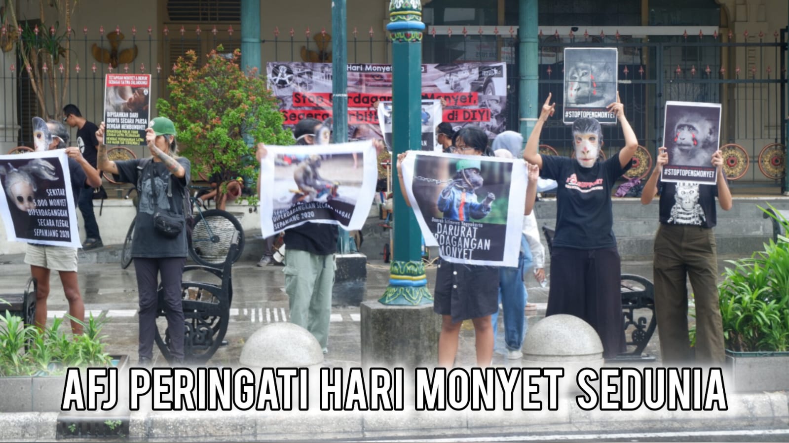 Hari Monyet Sedunia, AFJ dan Belasan Aktivis Desak Pemerintah DIY ...