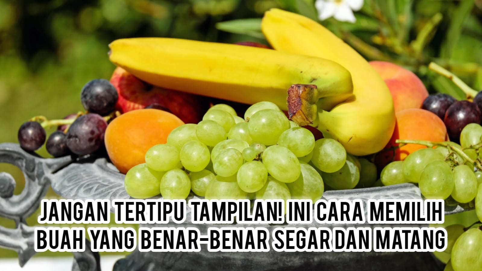 Jangan Tertipu Tampilan! Ini Cara Memilih Buah yang Benar-benar Segar dan Matang
