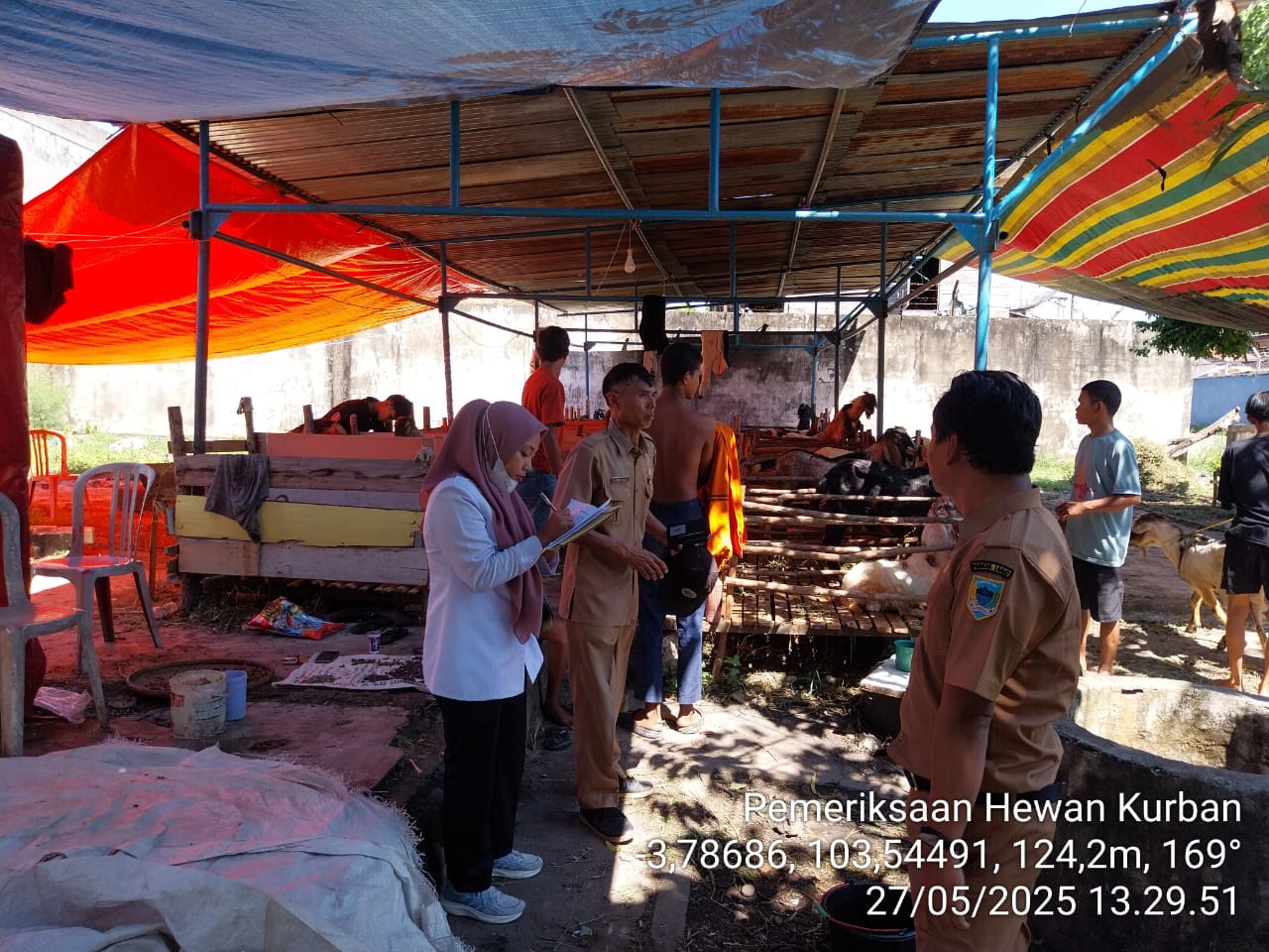 Tahun Depan Hewan Kurban Masuk Lahat Wajib Kantongi dari Dinas TPHP ...