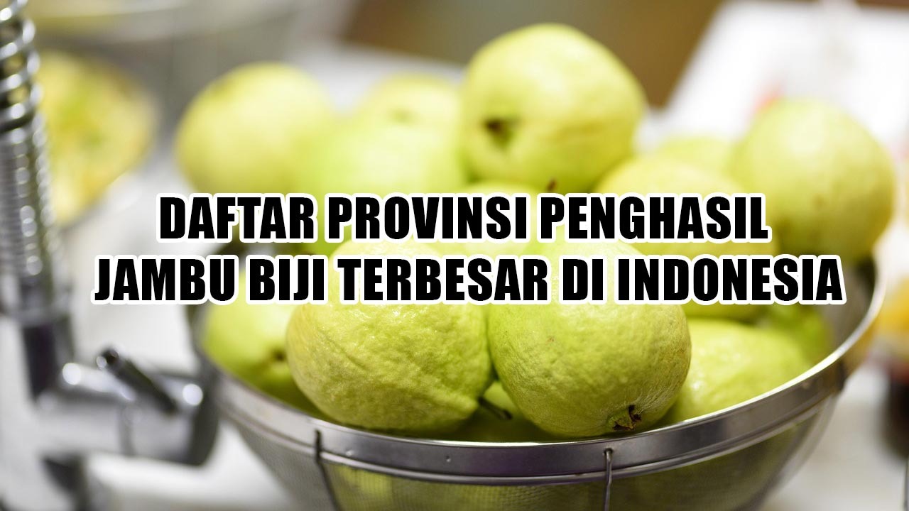 Berapa Produksi Jambu Biji di Indonesia? Ini Daftar Provinsi Teratas
