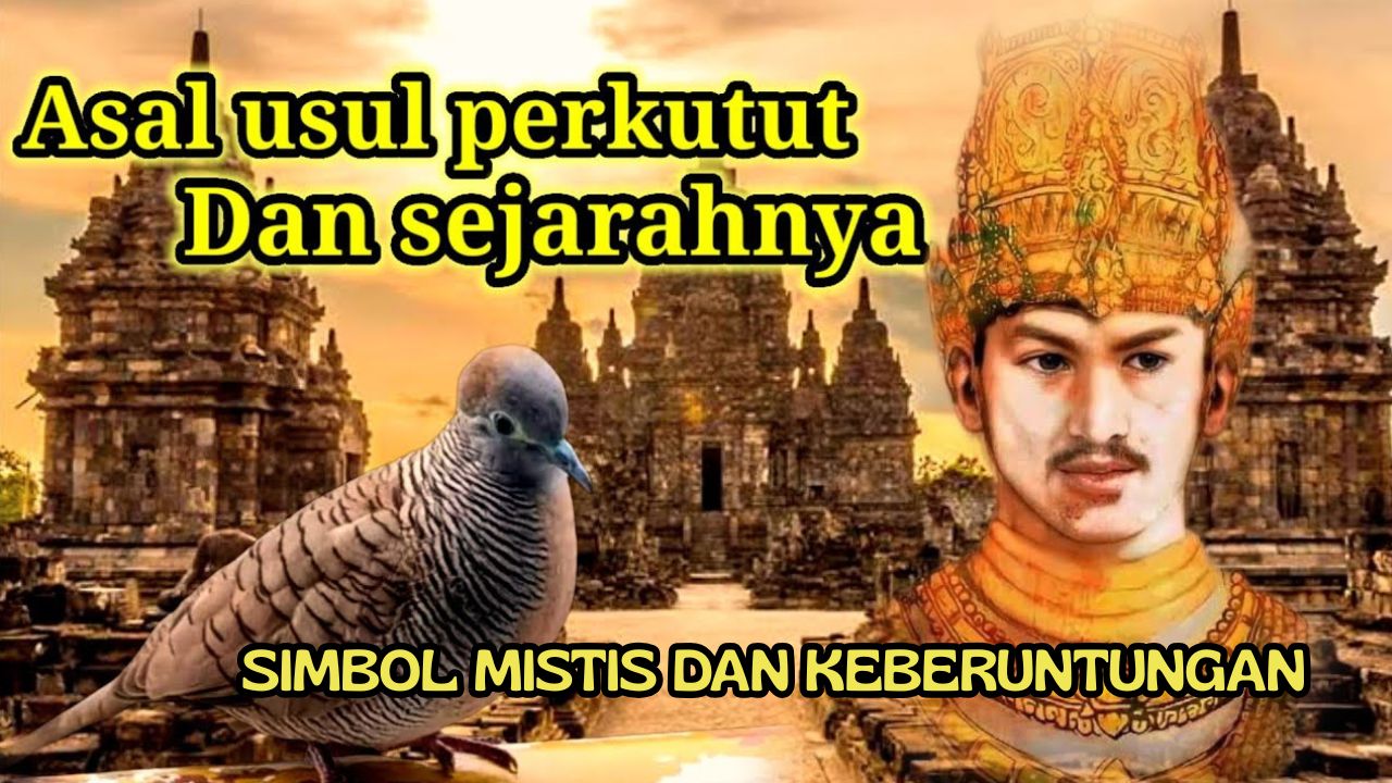 Asal Usul Burung Perkutut Simbol Mistis dan Keberuntungan Dalam Tradisi ...