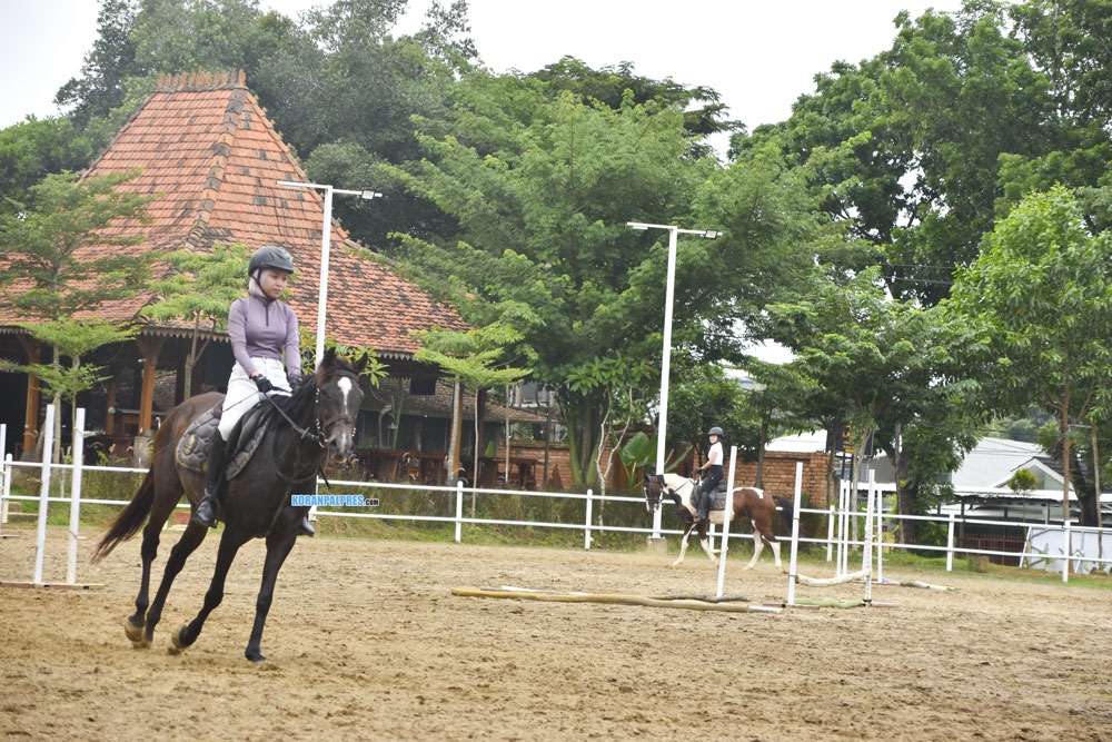 Satu-satunya di Palembang? Lazara Stable Tawarkan Wisata Berkuda ...