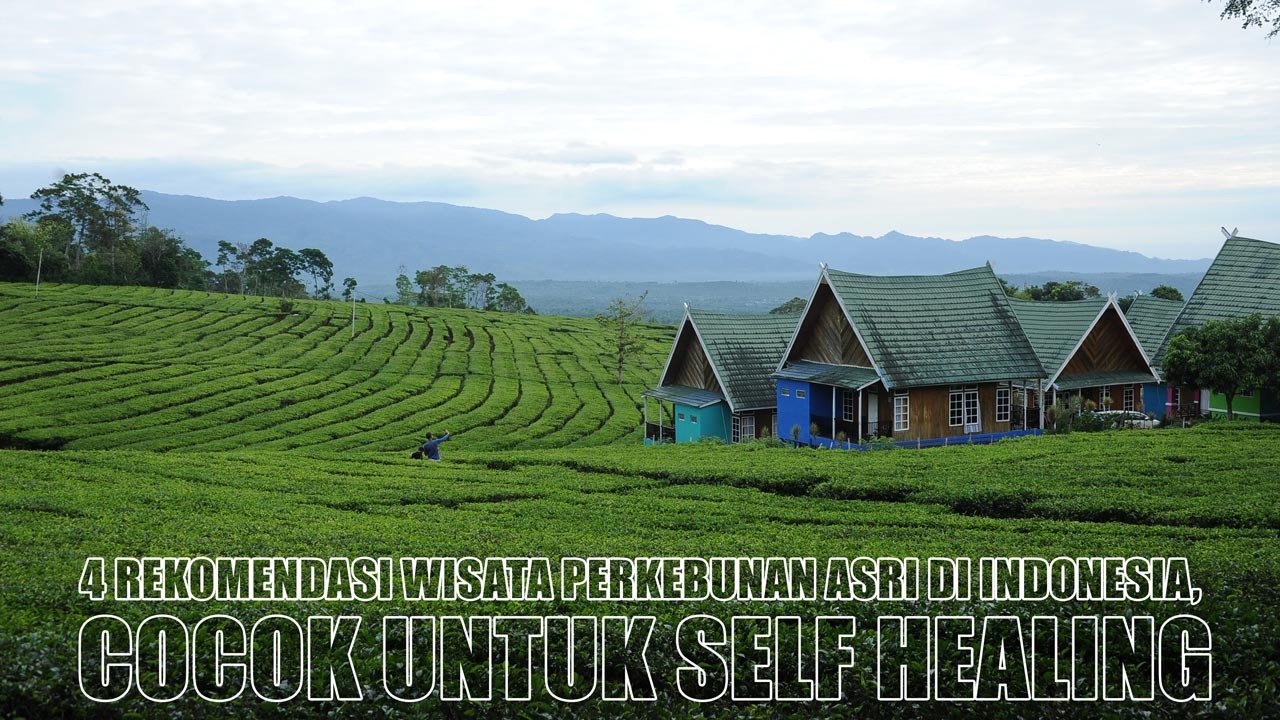 4 Rekomendasi Wisata Perkebunan Asri di Indonesia, Tempatnya ...