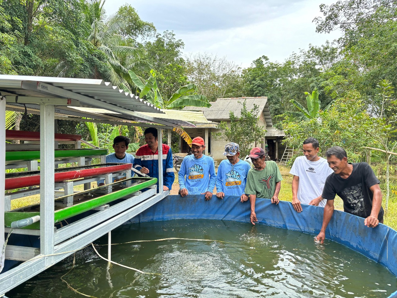 Pokdakan Sungai Gerong Buktikan! Sistem IMTA Ampuh Kurangi Limbah Budidaya